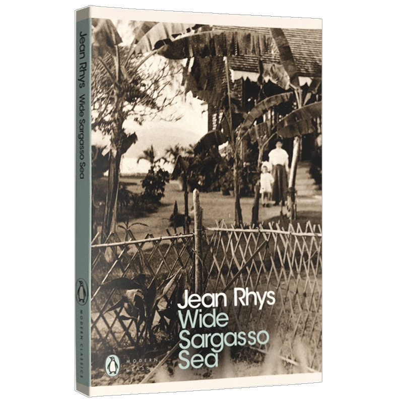 Wide Sargasso Sea英文原版小说藻海无边茫茫藻海英文版简爱前传 Jean Rhys进口英语书籍_虎窝淘