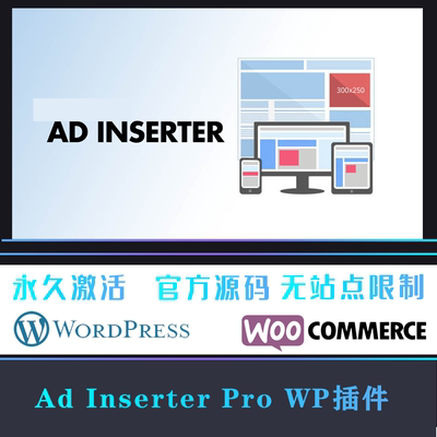 Ad Inserter Pro 中文版 高级自定义广告管理插件 WP插件