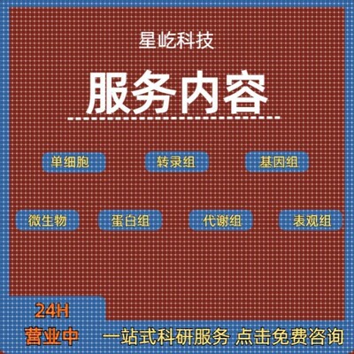Materials Studio分子动力学模拟ms软件中英文视频MS中文系列教学