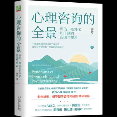 RT69包邮 心理咨询的全景:评估、概念化和干预的实操与整合:practice and integration of assess机械工业出版社社会科学图书书籍