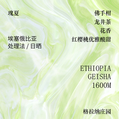 莫比乌斯咖啡-瑰夏咖啡豆