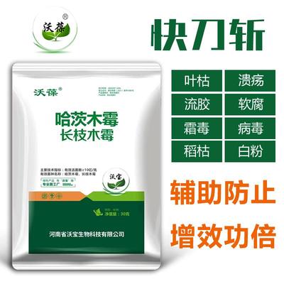 沃葆哈茨木霉菌一刀斩