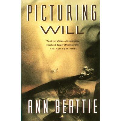 Picturing Will企鹅兰登 英文原版