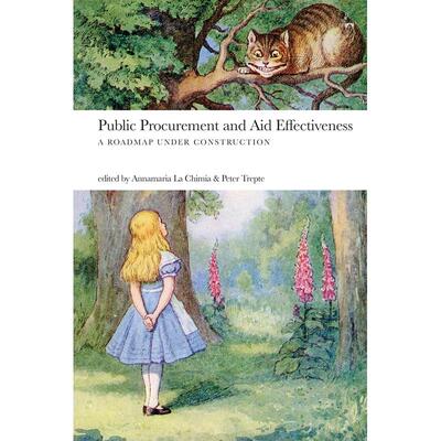 预售 Public Procurement and Aid Effectiveness英文原版 Bloomsbury