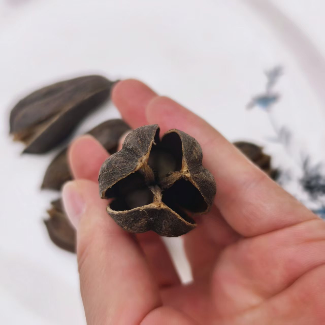 剑麻壳创意圣诞树装饰花环挂饰天然植物干花材料