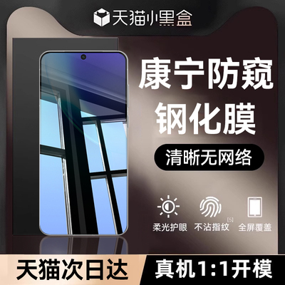 适用vivox300全系列防窥钢化膜