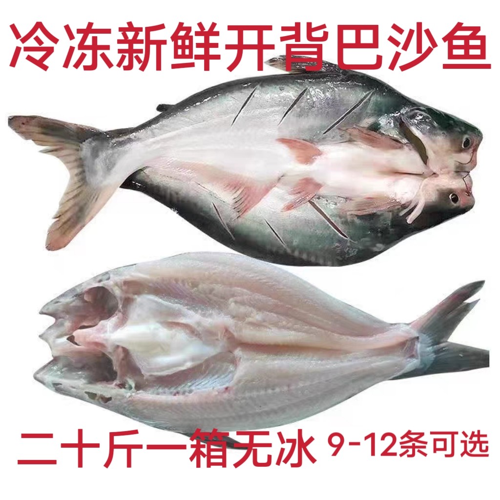 冷冻新鲜 开背巴沙鱼 湄公鱼 烤鱼 烧烤食材二十斤一箱无冰可包邮