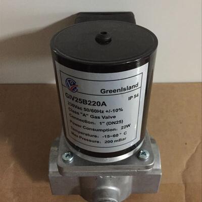 议价GIV40B220AGIV50B220A电磁阀