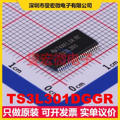 TS3L301DGGR TSSOP-48-6.2mm 信号开关/解码/多路复用器芯片IC