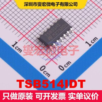 TSB514IDT SO-14 仪器放大器 线性 集成芯片IC