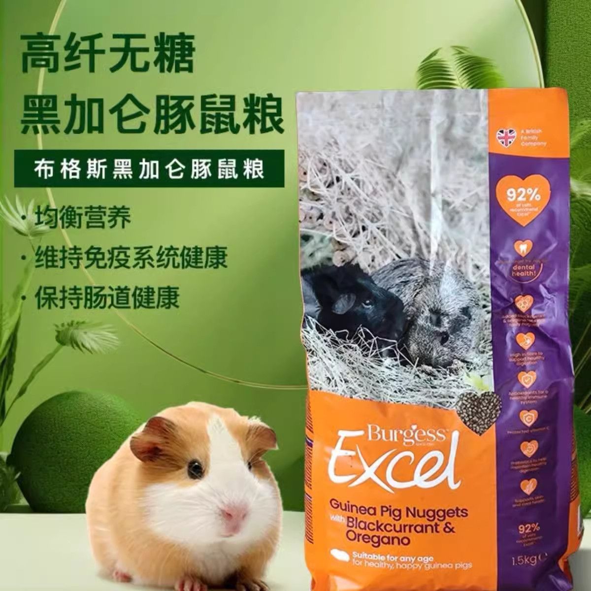 英国Burgess布格斯豚鼠粮黑加仑豚鼠粮天竺鼠粮荷兰猪粮1.5kg