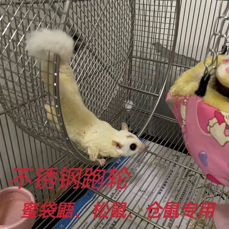 304不锈钢蜜袋鼯跑轮松鼠跑轮鹦鹉跑轮刺猬跑轮悬挂龙猫跑轮28cm