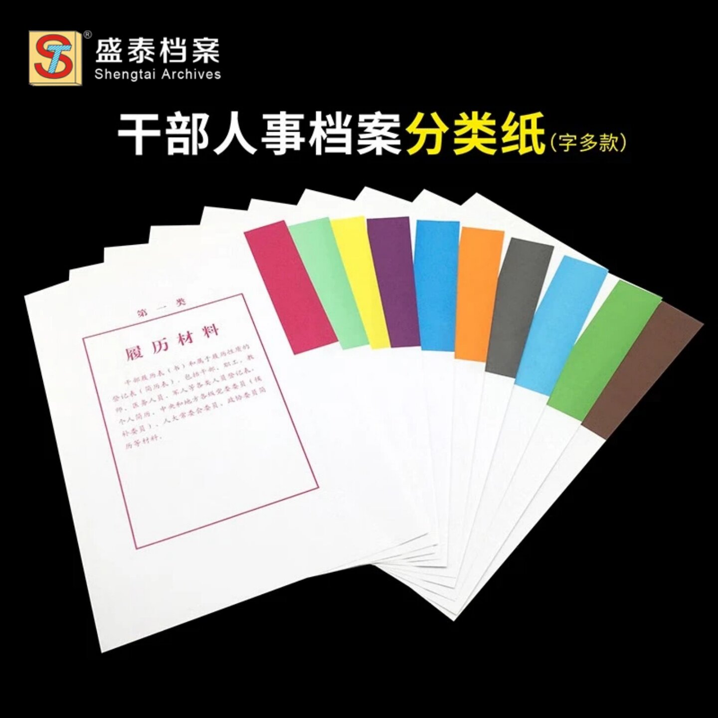 A4干部人事档案分隔纸加厚十大类分类纸隔页纸索引分页纸支持定制