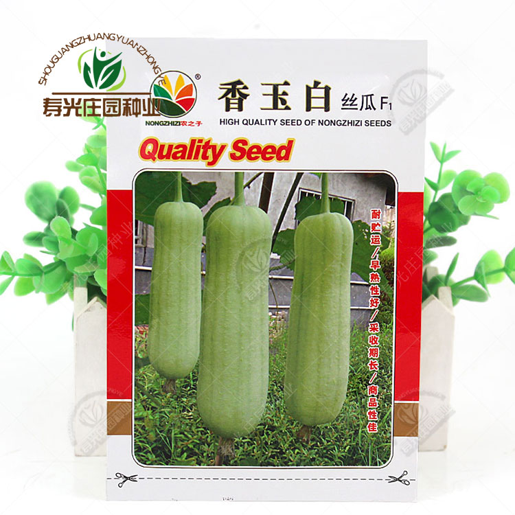 香玉白丝瓜种子种籽肉丝瓜苗秧南方孑短棒春季高产阳台四季蔬菜种