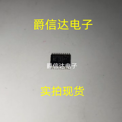 全新原装 XCF01S XCF01SVOG20C XCF01SV0G20C TSSOP20 热卖可直拍