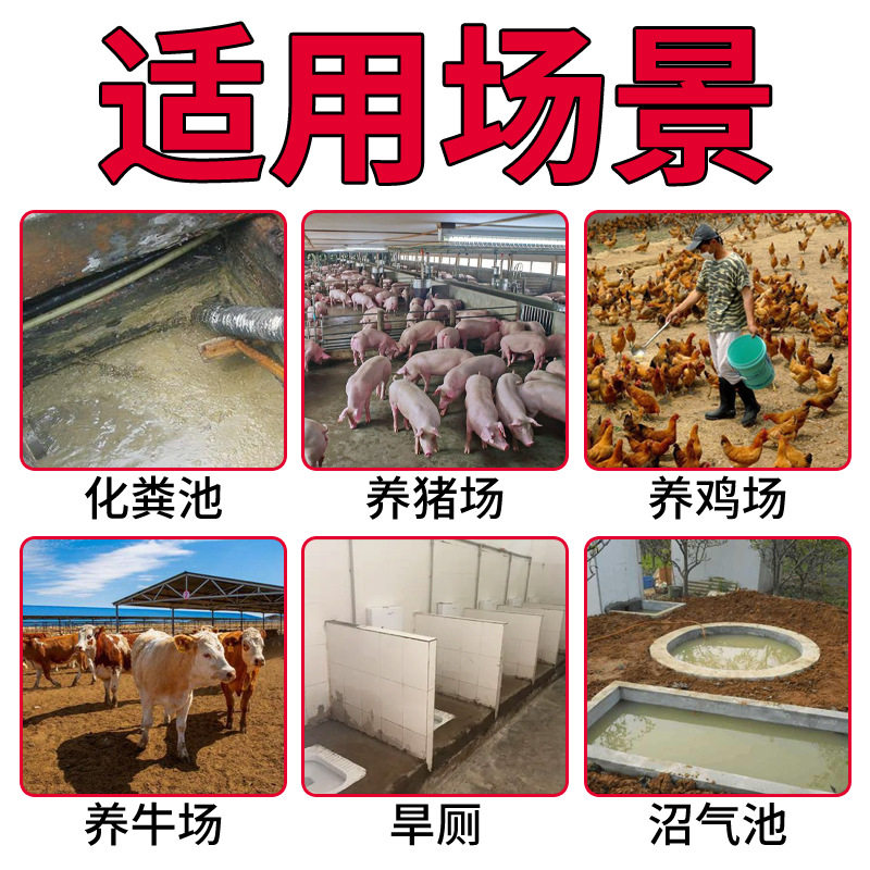 化粪池溶解剂强力分解大粪大便下水道旱厕堵塞微生物融通除臭味