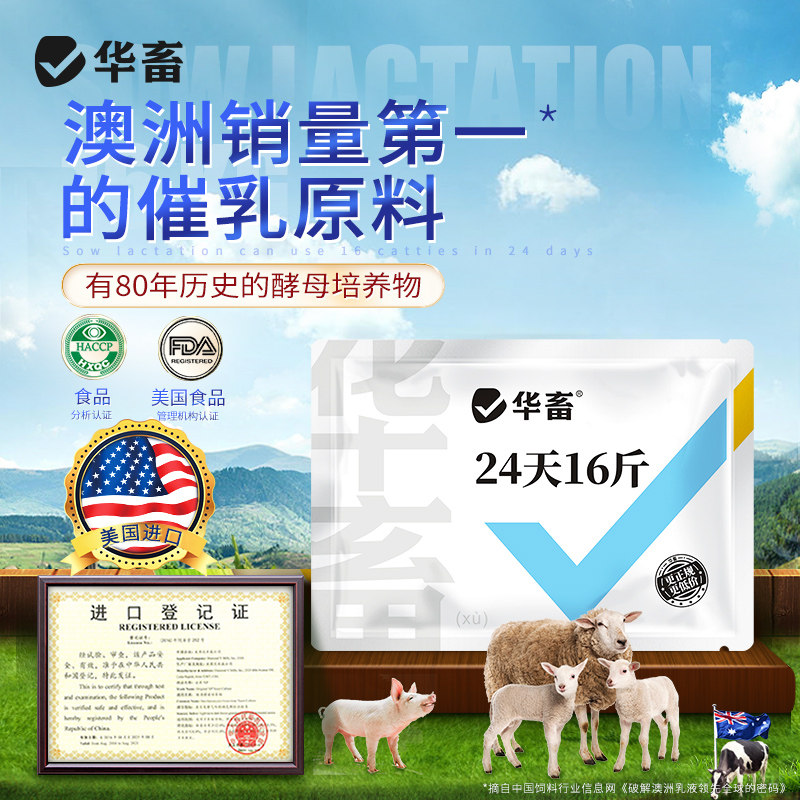 华畜24天16斤母猪催奶下奶奶爸王霸王发奶催乳兽用猪牛羊专用奶粉