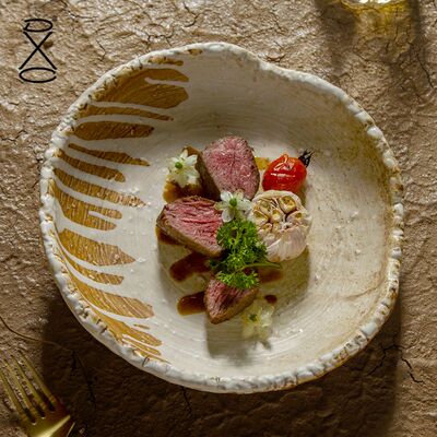 dxc汤盘陶瓷通用不规则