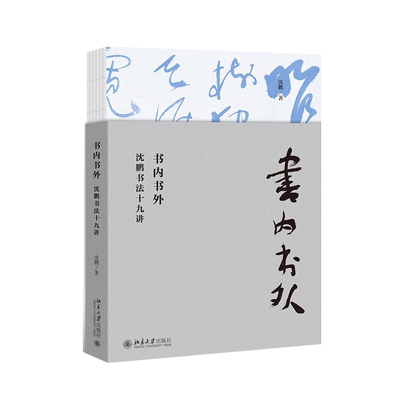 书内书外:沈鹏书法十九讲 沈鹏 著 书法/篆刻/字帖书籍艺术 新华书店正版图书籍 北京大学出版社