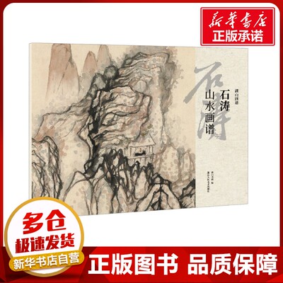 石涛山水画谱 湖山书画 编 绘画（新）艺术 新华书店正版图书籍 浙江人民美术出版社