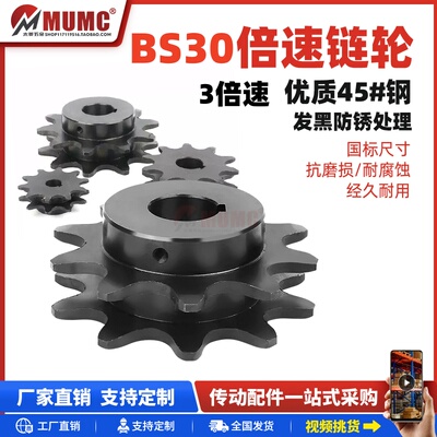 BS30倍速链轮BS30-C212A-9齿 10齿 C206BC208AC210A链条节距38.1