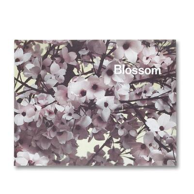 【预售】花丛Blossom英文进口原版摄影集Thomas Demand外文正版图书籍Thomas Demand