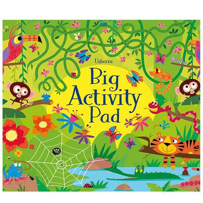 【现货】儿童活动大书Big Activity Pad英文进口原版儿童趣味图书Kirsteen Robson and Various3-6岁