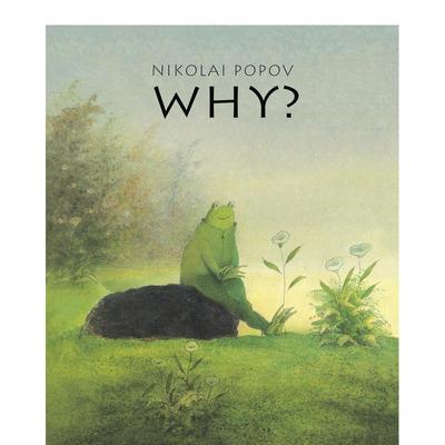 【现货】为何？ WHY? 英文进口原版儿童绘本图书Nikolai Popov人际关系