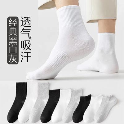 长筒袜薄吸汗防臭纯棉男女中筒袜