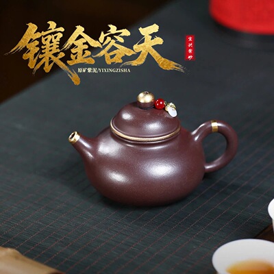 宜兴紫砂壶原矿紫泥镶金容天光素泡茶壶家用功夫茶具密文一件代发