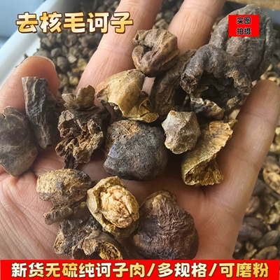 精选毛诃子肉清热解毒润喉毗黎勒