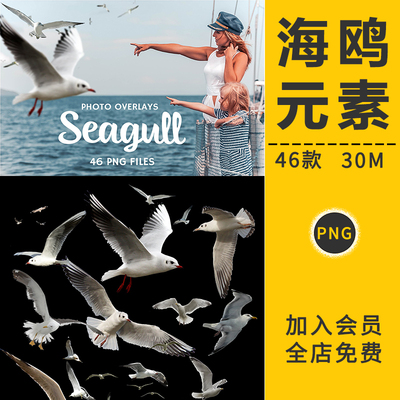 海鸥飞翔鸟群海鸟翱翔园林景观设计效果图鸟类天空摄影免抠PS素材