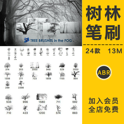 神秘自然景观环境雾中森树林树枝树林灌木树木笔刷绘画PS设计素材