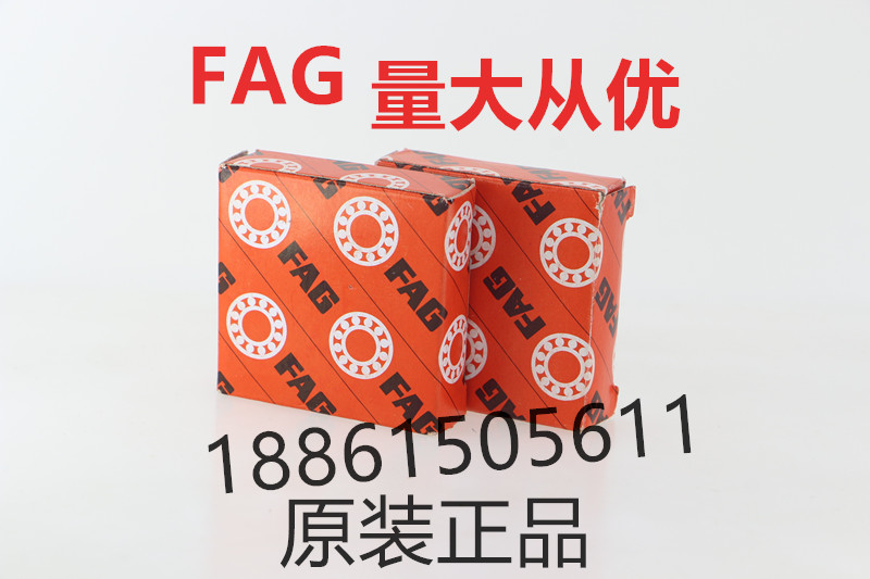 德国FAG进口轴承酚醛树脂保持架/胶木 6002/6003/6004/6005TB.P63