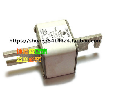 巴斯曼熔丝170M5158 170M5159 170M5160 170M5161