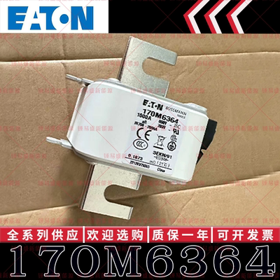 170M系列巴斯曼快速熔断器 170M6365 170M6366 170M6367 170M6368