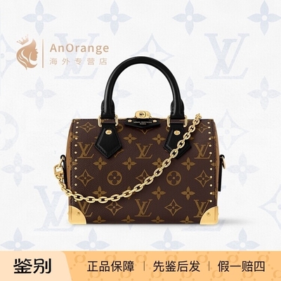 路易威登LV老花手提包小号枕头包