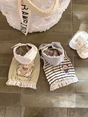 现货Bee熊熊印花背心韩系可爱家居服舒适柔软夏天宠物衣服马尔济