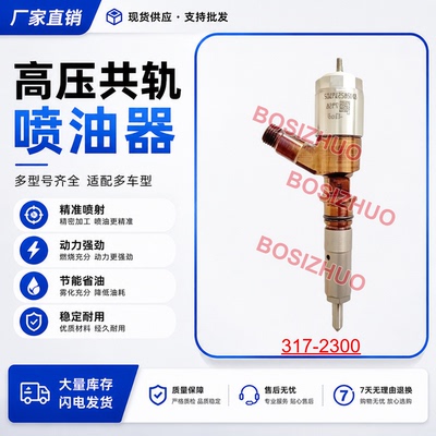 317-2300喷油器总成适用C4/C2发动机2645A717喷油器工厂直供