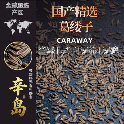 葛缕子籽西餐烘焙香肠革楼孑藏茴香葛娄子Caraway