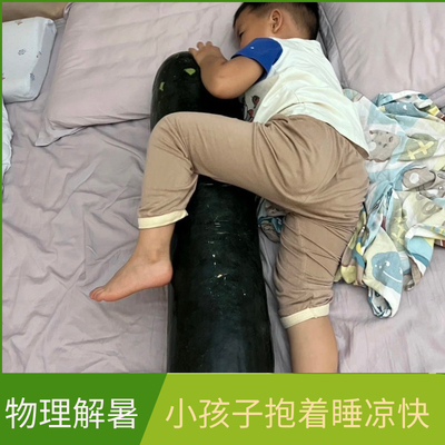 真大冬瓜抱着睡觉清凉消暑光滑降温舒服新鲜真正超大青皮冬瓜空调
