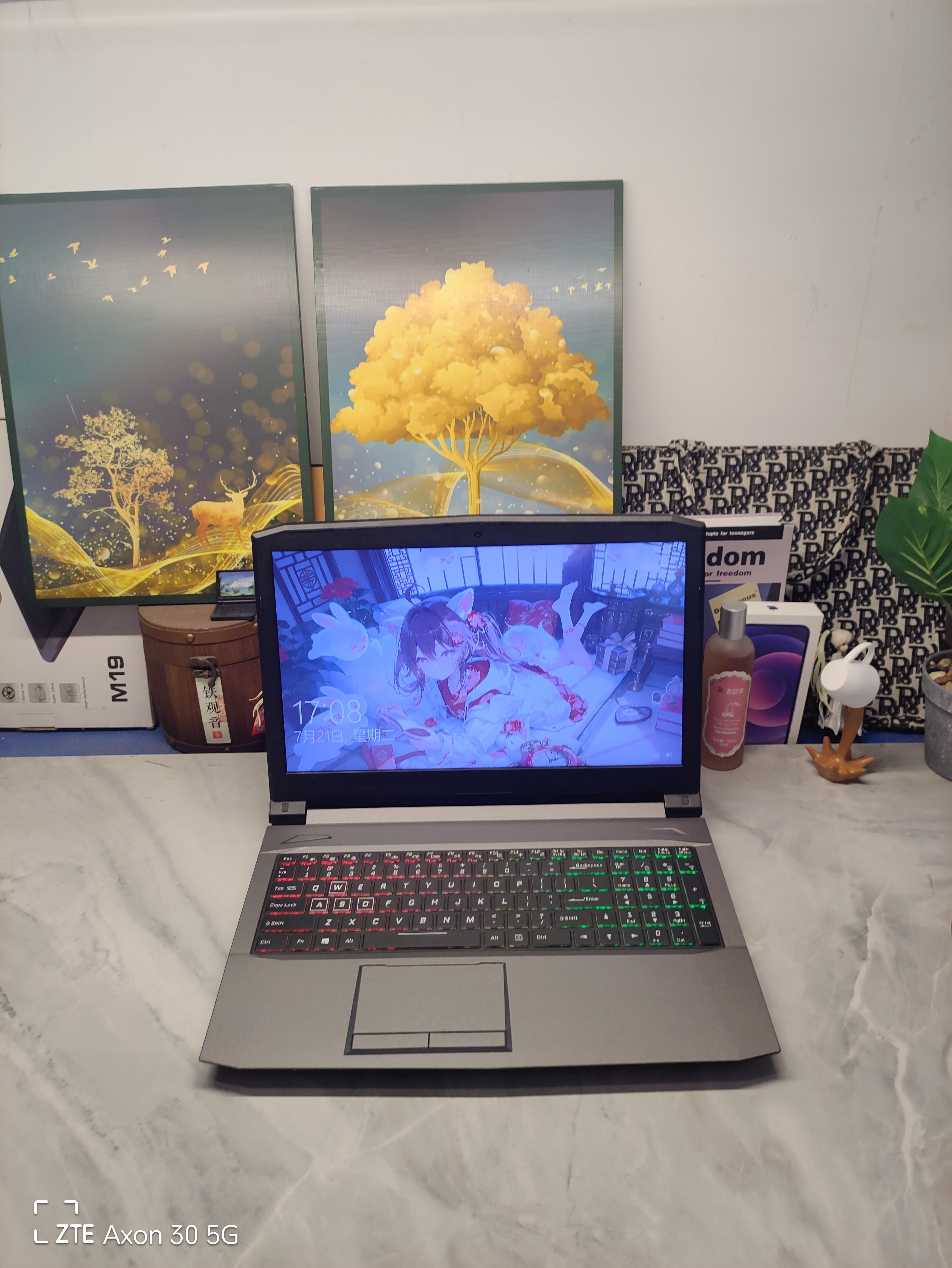 二手机械师游戏本 15.5寸大屏 7代i7GTX1050 2G独显 512G固态硬盘