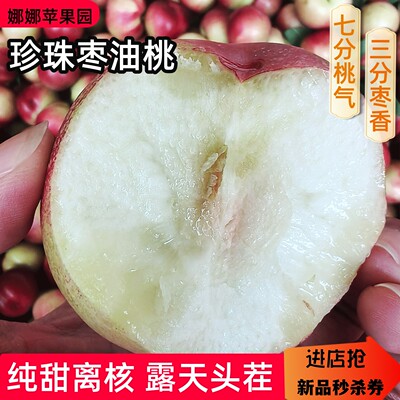 山西运城珍珠枣油桃产地直发甜脆