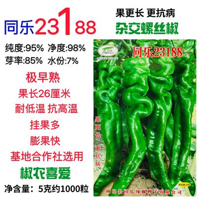 同乐23188螺丝椒种子浓辣长果早熟高产耐热商品性佳农家春秋播种