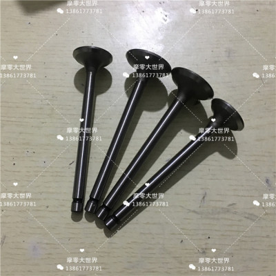 适用金太子250 CA250 钱江QJ250-3大地鹰王DD250气门组合进排气门