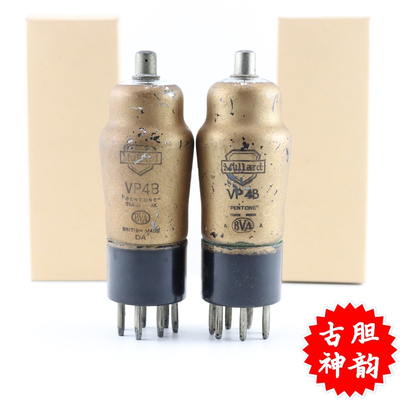 VP4B金色磨砂电子管大盾