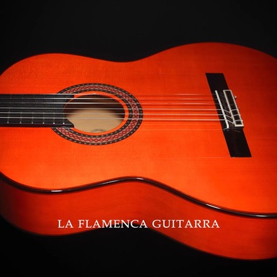 LAFLAMENCA-LA34柏木吉他