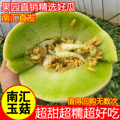 超甜软糯上海南汇玉菇甜瓜新鲜时令水果整箱玉茹香瓜青皮绿肉蜜瓜