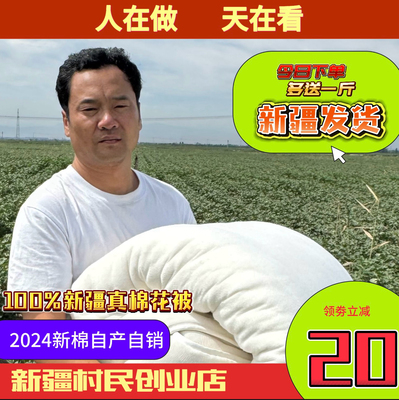 新疆棉花被垫被冬季加厚单人双人学生宿舍棉絮被褥纯棉花长绒棉