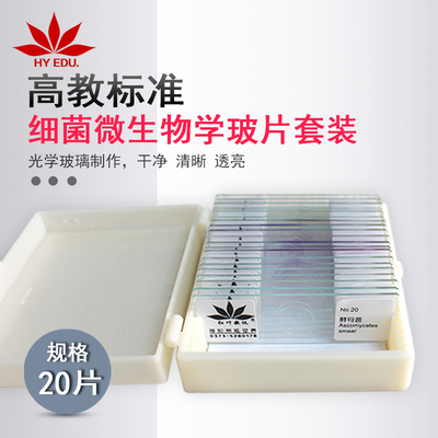 高教标准细菌微生物学玻片套装